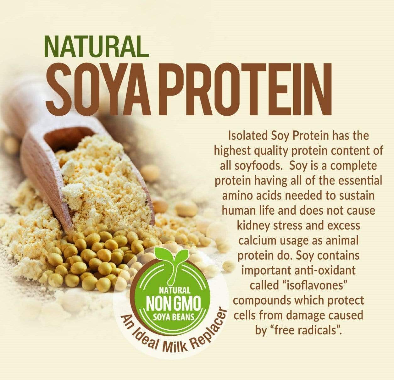 Radiant Soy Protein Powder, Non GMO | Radiant Whole Food